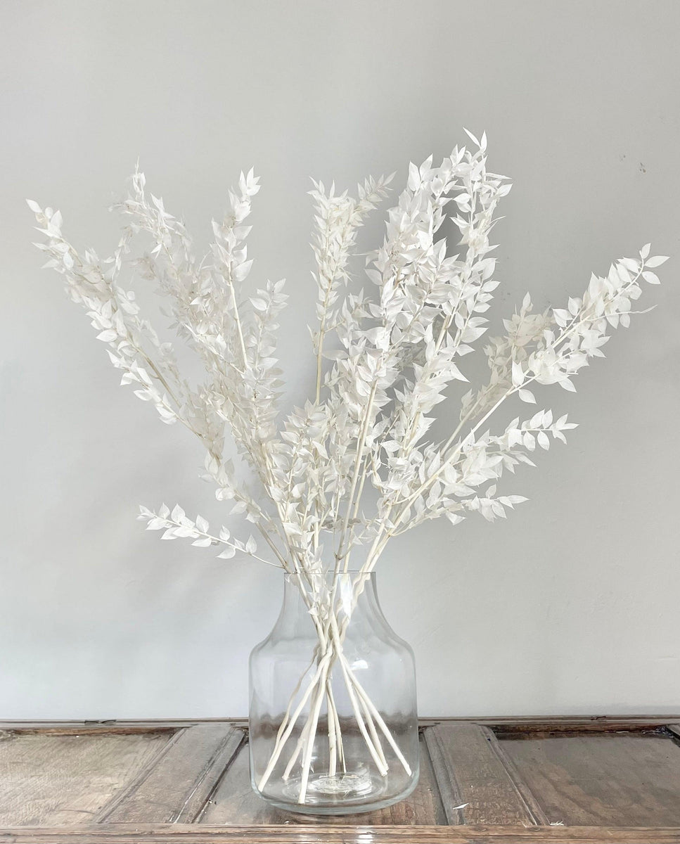 White Ruscus 70cm preserved bleached bunch – Desert Dreams Dried Flowers